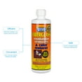 Protect All 55016 - Fiberglass Oxidation Remover & Color Restorer, 16 ...