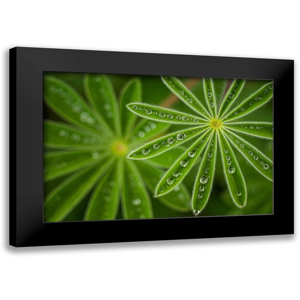 Raif, Joshua 14x11 Black Modern Framed Museum Art Print Titled - Pearly ...