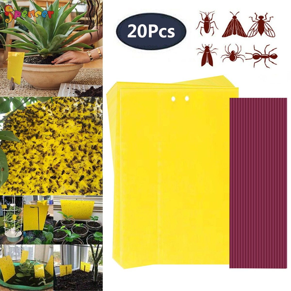 Spencer 20Pcs Yellow Traps Sticky Fly Paper Fruit Flies Insect Aphids ...