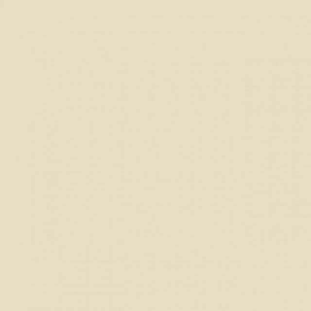 Springs Creative Natural Charm Solid Color Parchment 100% Cotton Fabric ...