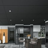 12-Pack Drop Ceiling Tiles 2ft x 2ft in Black, PVC Ceiling Tiles 24 x ...