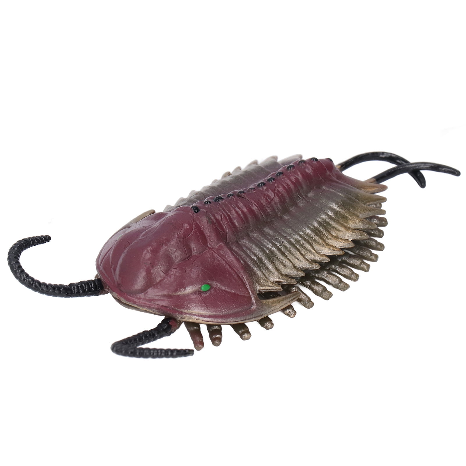 Modelo De Trilobita, Decoración De Plástico, Figura De Animal Antiguo ...