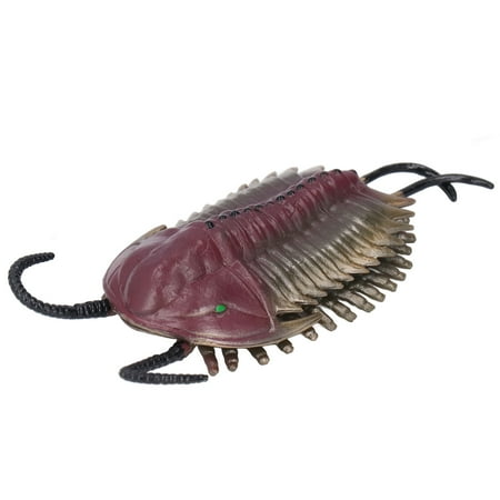 Ancient Animal Figure, Simulated Trilobite Model Plastic For Family ...