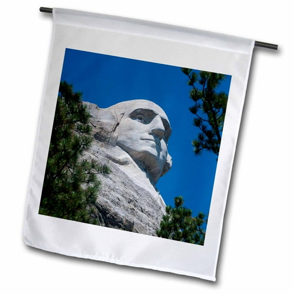 George Washington Flag