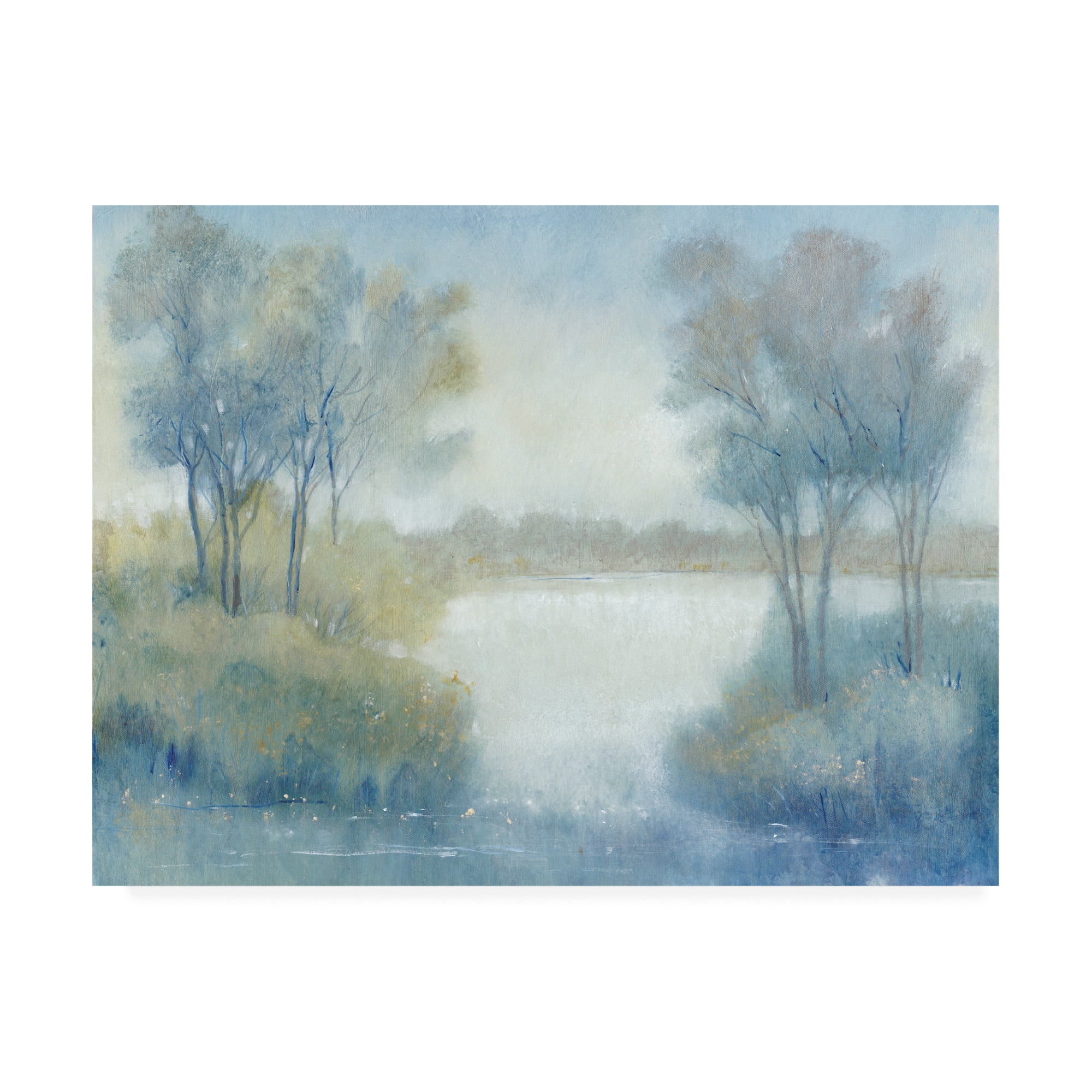 Trademark Fine Art 'Morning at the Pond I' Canvas Art by Tim OToole ...