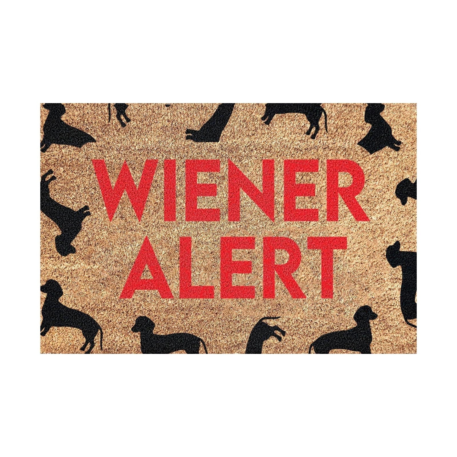 tkrady Personalized Door Mat Welcome Mat Indoor Door Mat Welcome Mats ...