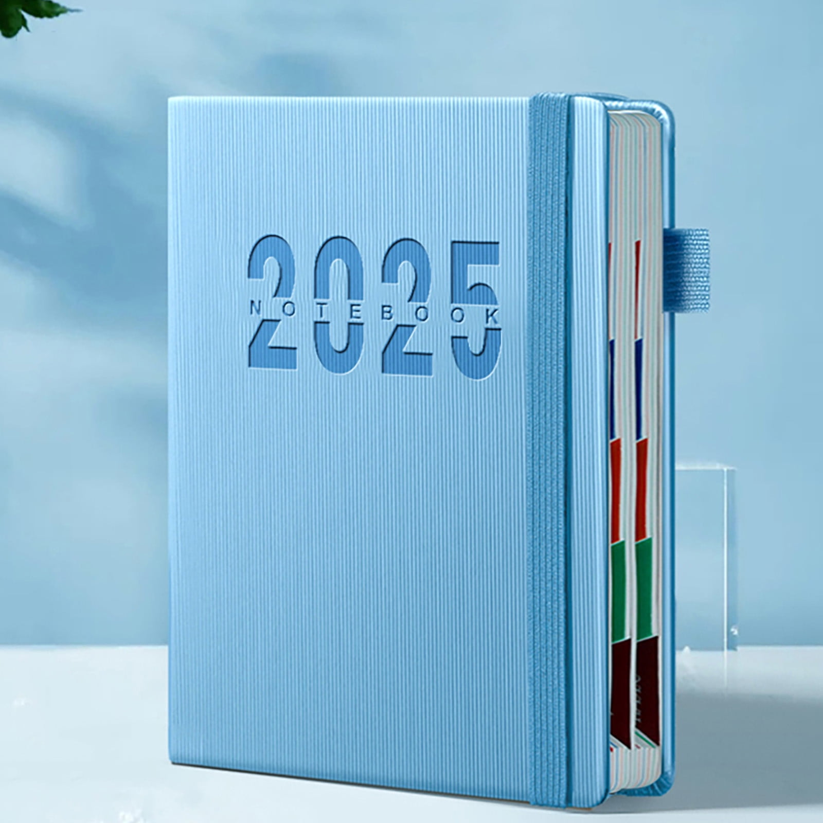 2025 Annual Planner, Daily Scheduler, Monthly Tabs, Thick 80gsm Paper ...