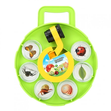 Interreting Capture Box Viewer, Safe Capture Box, For Views Flowers ...