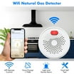 Dcenta WiFi Gas Leak Alarm Sensor for Natural Gas Biogas Methane ...