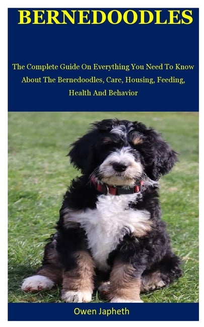 Bernedoodles : The Complete Guide On Everything You Need To Know About The Bernedoodles, Care ...