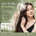Electric Spray & Massage Hair Brush, 5 in 1 Air Cushion Brush, Red ...
