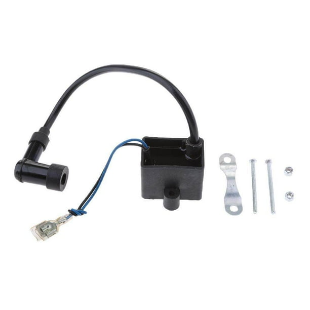 ruzhgo CDI Ignition Coil for 49-80cc 2-Stroke Engine Motorized Bicycle ...