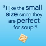 Premium Original Mini Saltine Crackers, 11 oz - Walmart.com