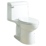 19 Inch High Toilets