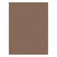 Pacon Riverside Construction Paper, 9" x 12", Brown, 50 Sheets, 76 lb ...