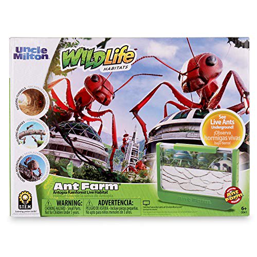 Toy Ants