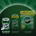 Eclipse Spearmint Sugar Free Chewing Gum Bulk pack - 60 Pieces Bottle ...