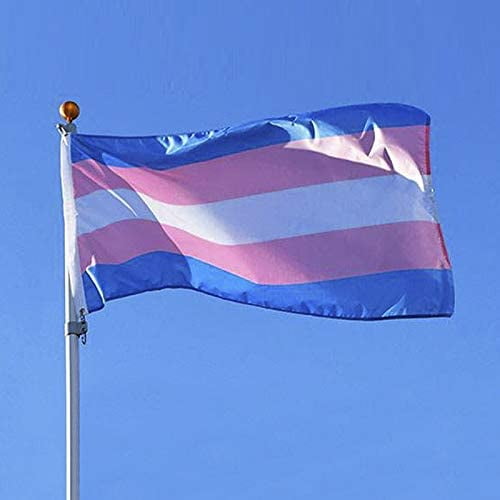 Transgender Trans Flag 35.4 X 59 inch Transgender Pride Flag Polyester ...