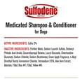 Sulfodene Medicated Dog Shampoo and Conditioner, Relieves Flaking and ...