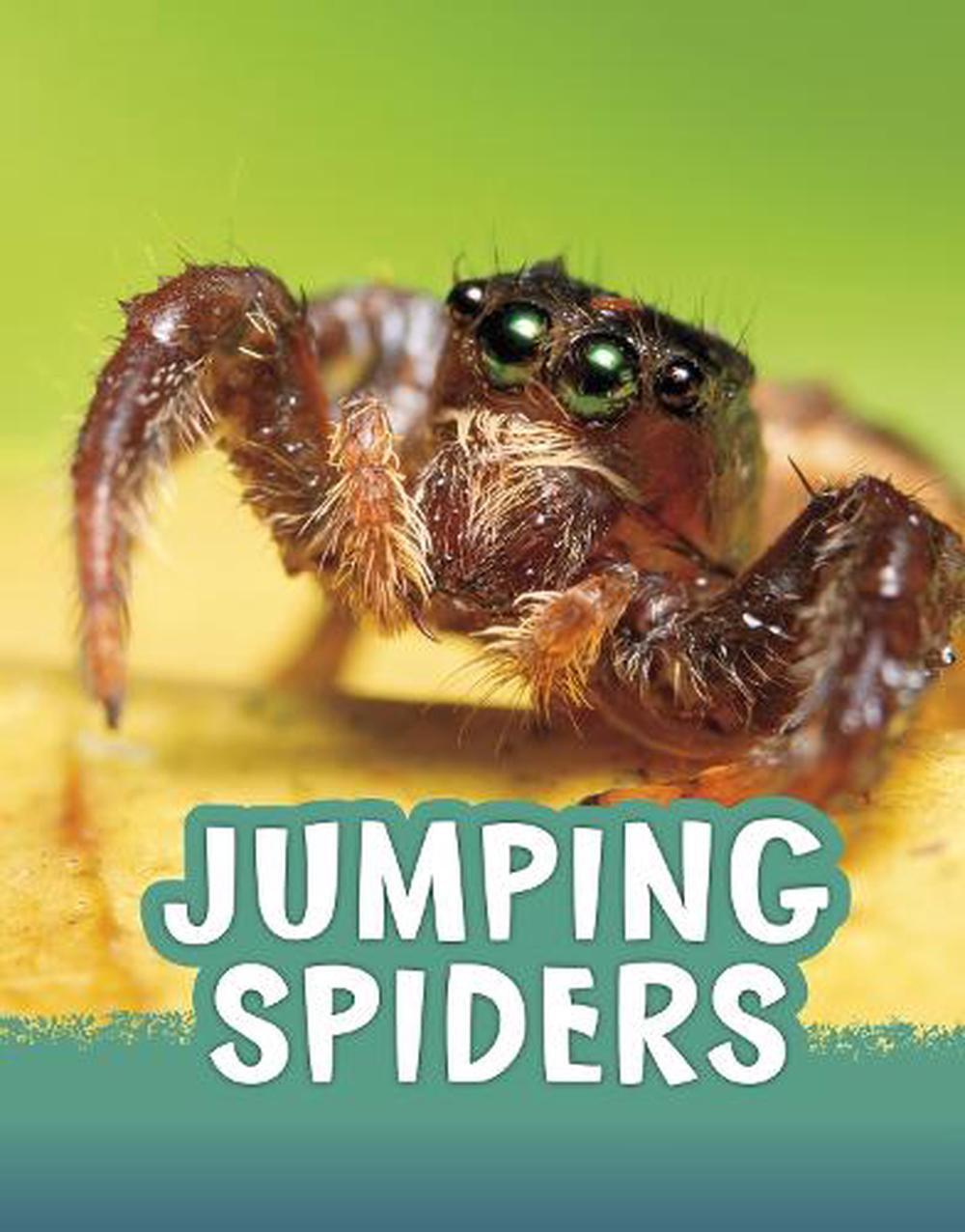 Jumping Spiders - Walmart.com