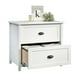 Sauder County Line 2-Drawer Lateral File Cabinet, Soft White Finish ...