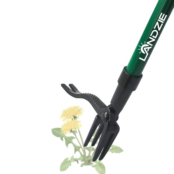 Crabgrass Removal Tool