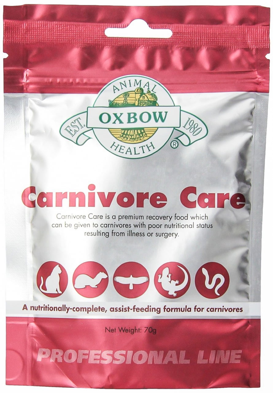 Critical Care Carnivore Care Premium Recovery Food (70 g) - Walmart.com