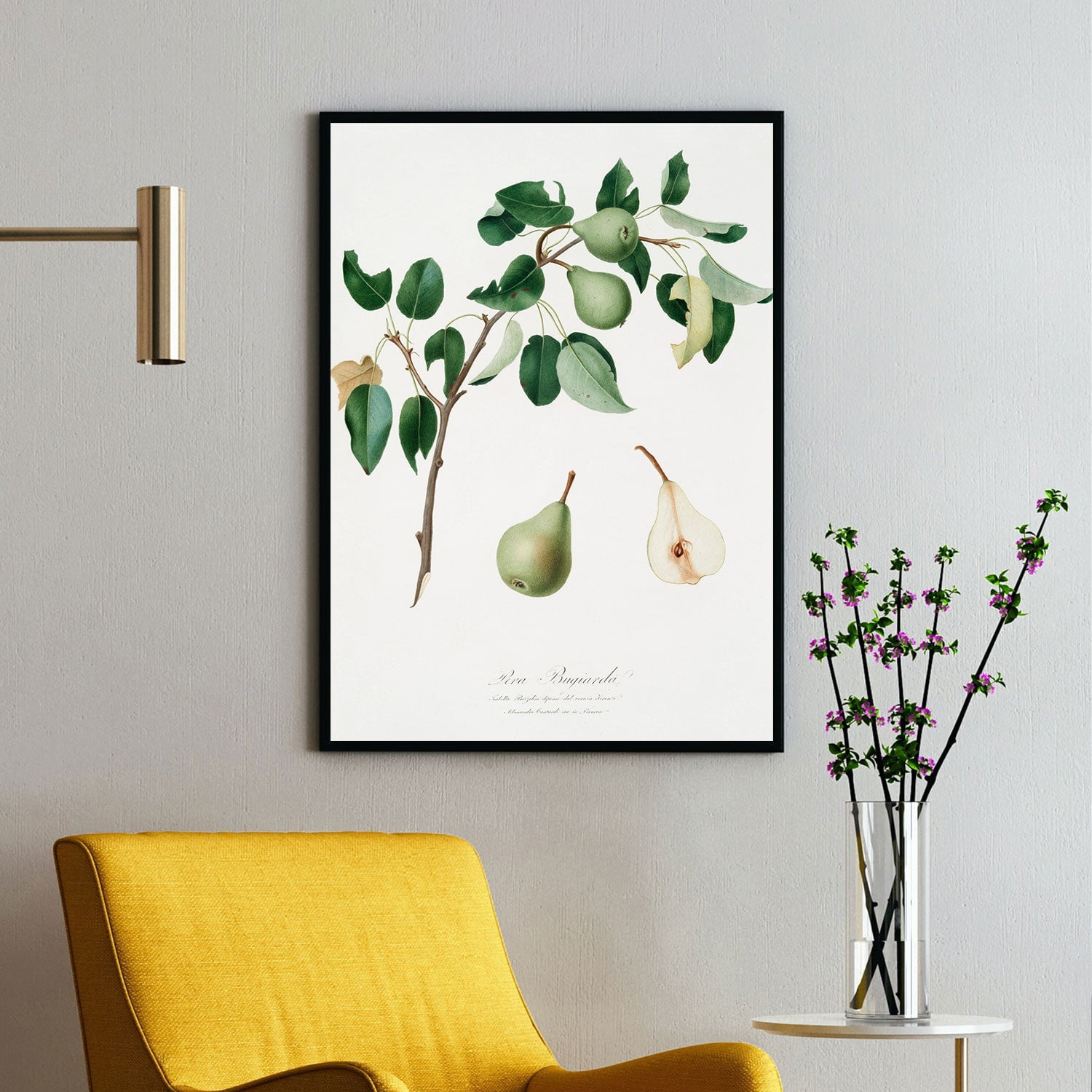 Pear - Pyrus mendax - 1817 - 1839 | Giorgio Gallesio | Premium Fine Art ...