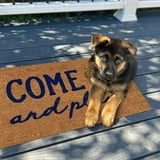 Qianduo Outdoor Door Mats for Outside Entry - Ruggable Rugs - Door Rug ...