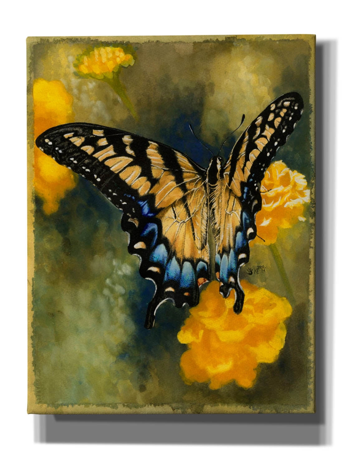 Epic Graffiti 'Delicate Belle' by Barbara Keith, Canvas Wall Art, 26 ...