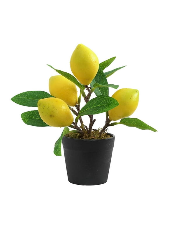 Fruit Trees in Trees - Walmart.com
