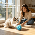 BESTSKY 2026 New 2Pcs Cat Toys for Indoor Cats Low-Noise Technology ...