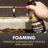 Spectracide Terminate Termite Killing Foam Aerosol, for Indoor and ...