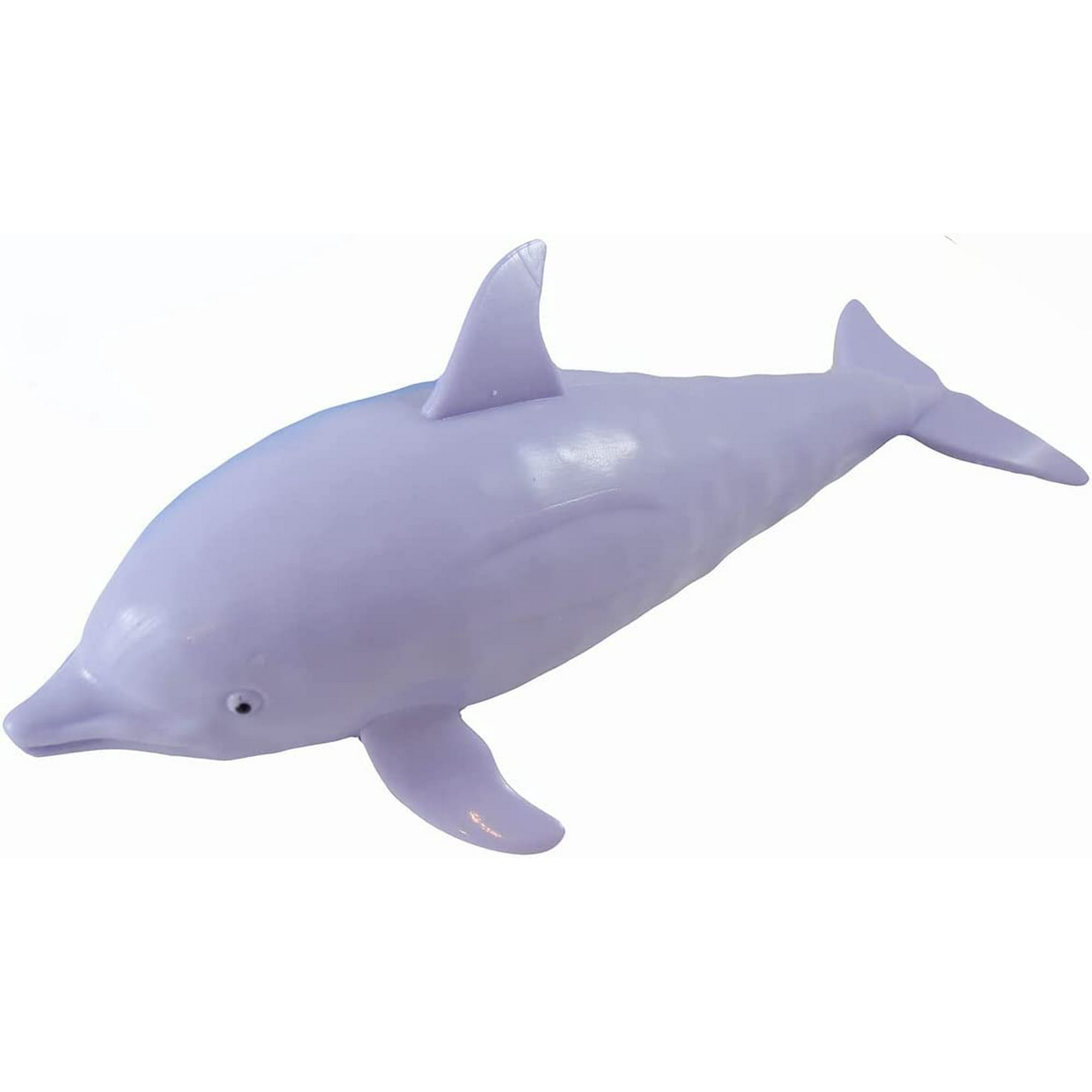 Purple Dolphin