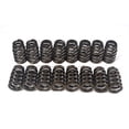 3mirrors LS Valve Springs, Performance Racing Compatible with ALL LS ...