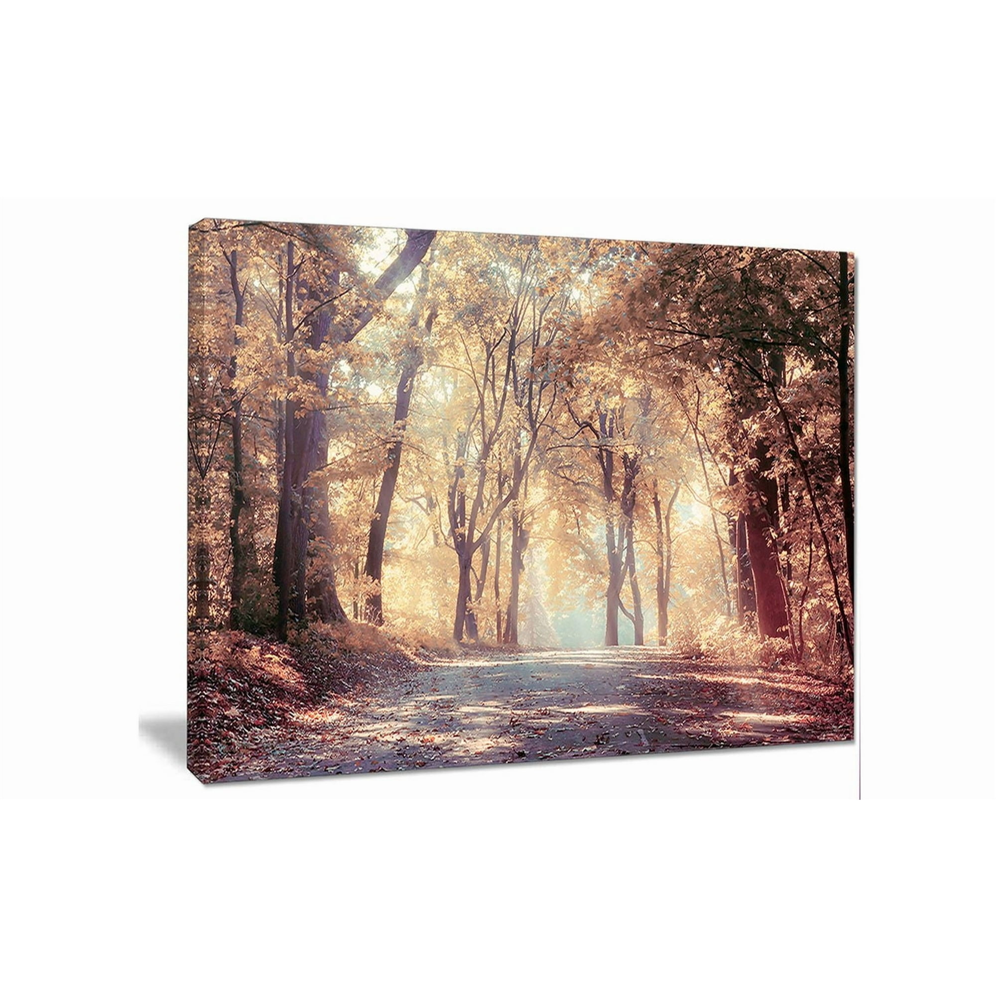 Click here for Designart Design Art Golden Autumn Beautiful Fores... prices