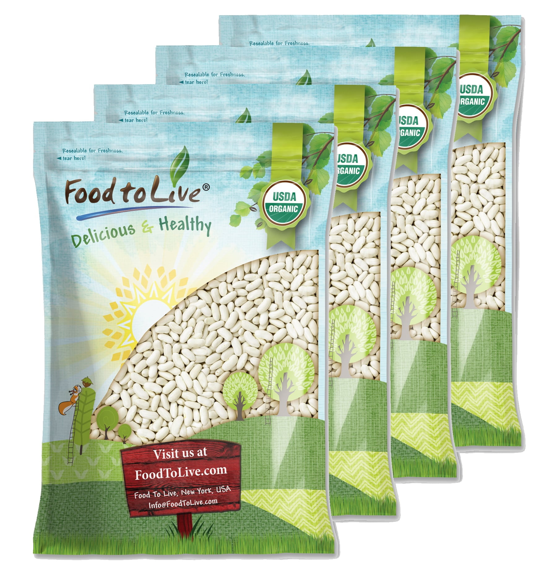 Organic Cannellini Beans, 50 Pounds — Non-GMO, Sproutable, Kosher, Raw ...