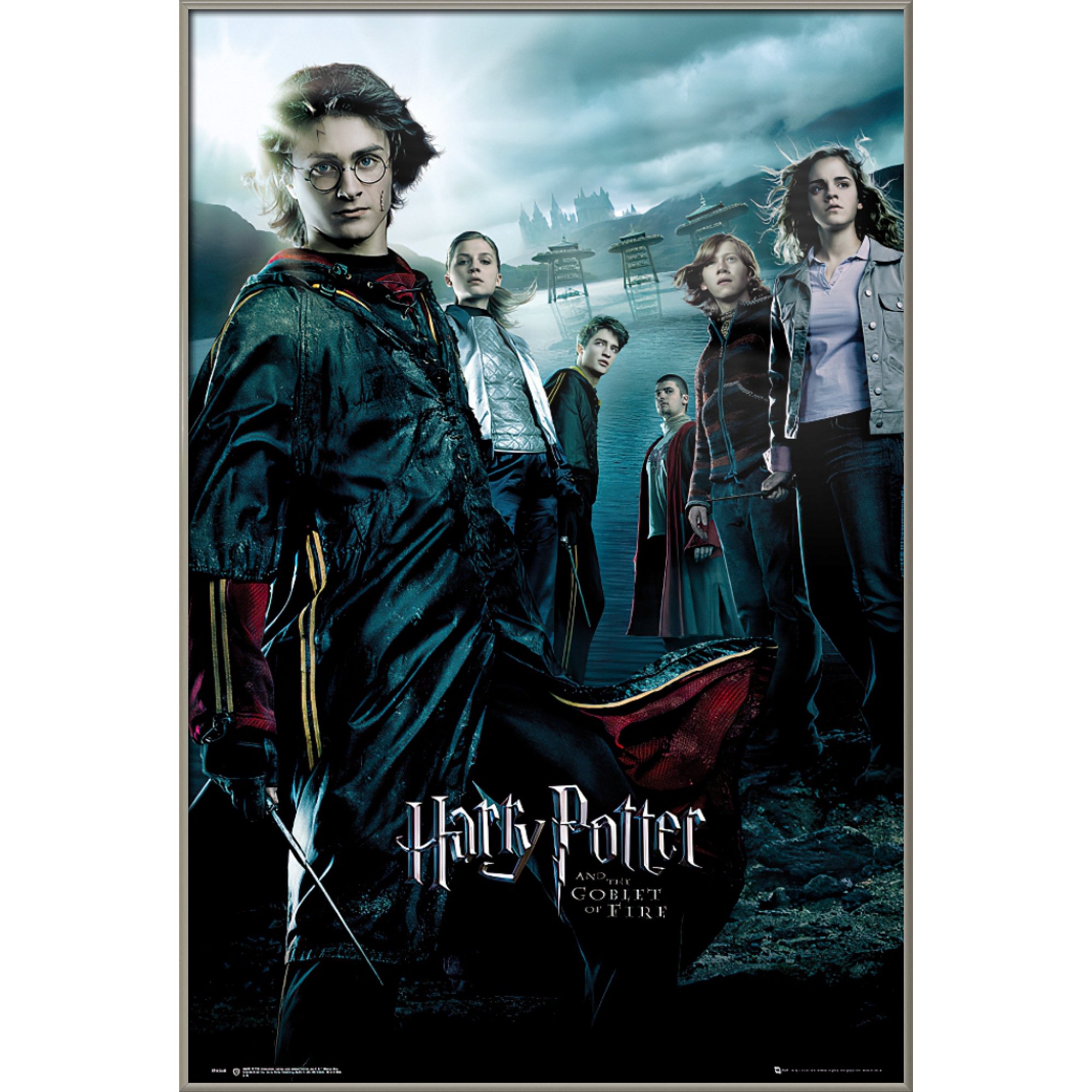Official Harry Potter Movie Posters