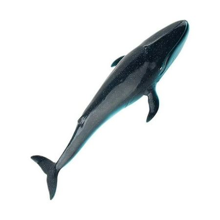 Realistic Whale Animal Model Education Soft Model Whale Figure Toy ...