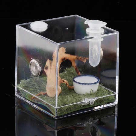 Breathability Feeding Box Ventilated Box Cage Raising and L | Walmart ...