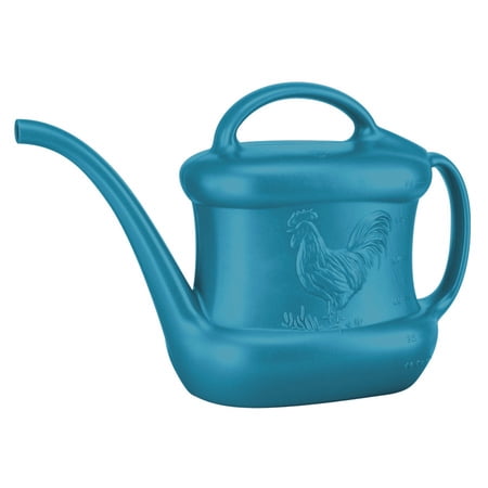 3L Blue Plastic Watering Can - Walmart.ca