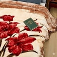 Shubozy Luxury Korean Mink Blanket – 2 Ply Reversible Plush Raschel ...