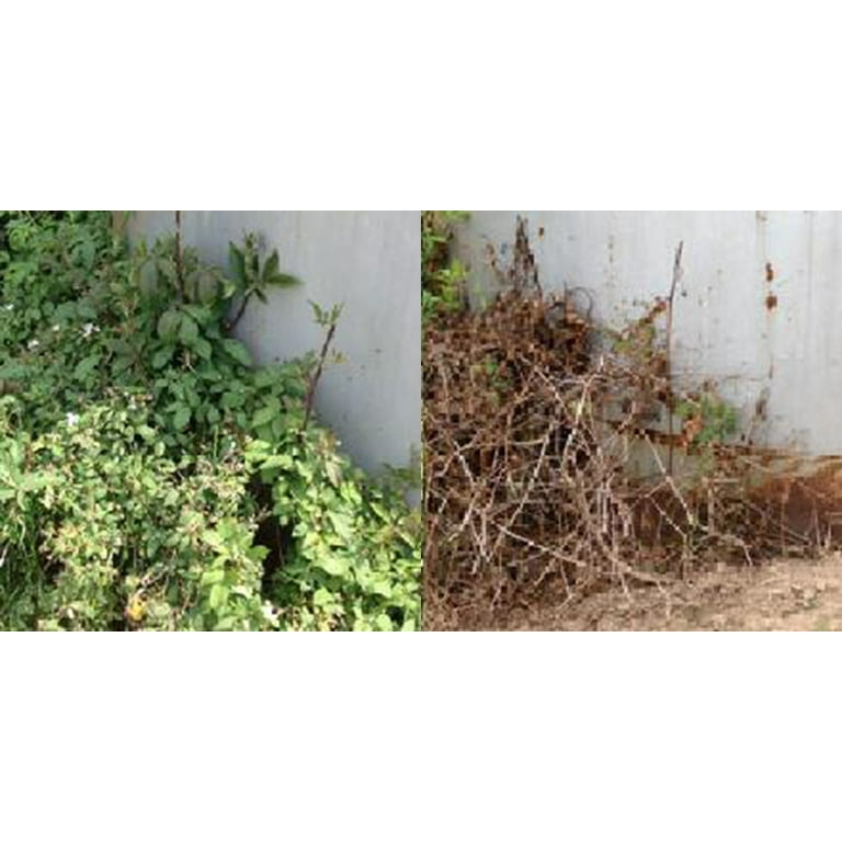 RM43 Herbicide: Long-Lasting Control And Prevention Of, 44% OFF