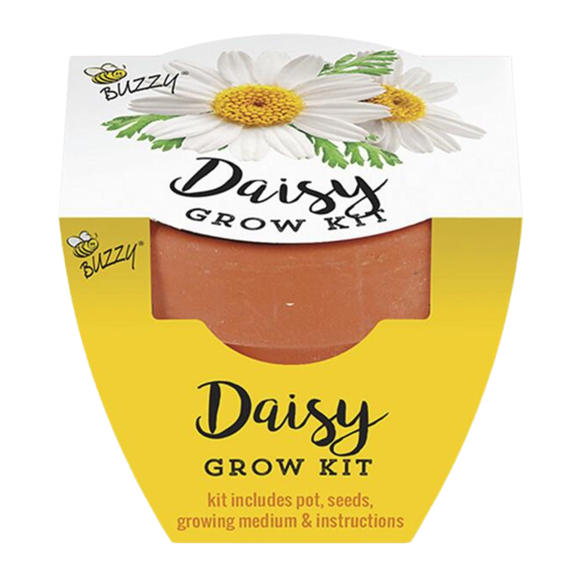 Floral DIY Gardening Kit: Indoor/Outdoor Daisy Seed Starters with Pots ...