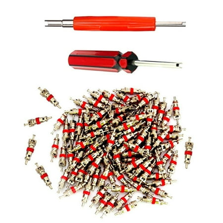 102PCS/Set Car Truck Replacement Tire Tyre Valve Stem Core Dual Single ...