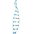 USEOSITY Double Helix Dna Model Science Teaching Aids for Students ...