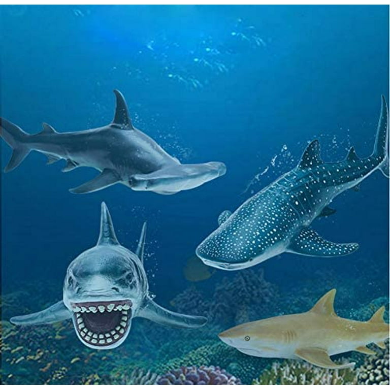 Models Swimming With Whale Sharks
