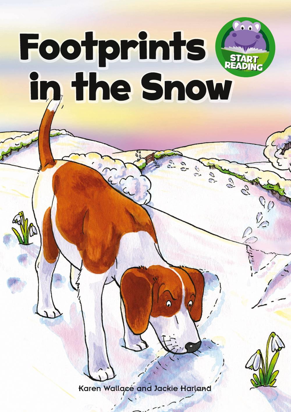 Footprints in the Snow - Walmart.com