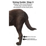 Labra Extra Supportive Dog Canine Rear Leg Hock Joint Wrap Protects ...