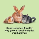 Kaytee Timothy Wafer Cut Hay for Rabbits, Guinea Pigs, Rats - High ...